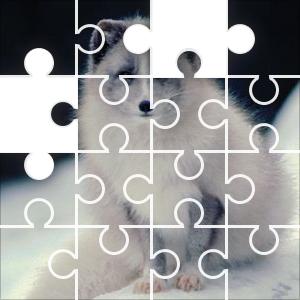 Arctic fox Puzzle casse-tête - JigZone.com
