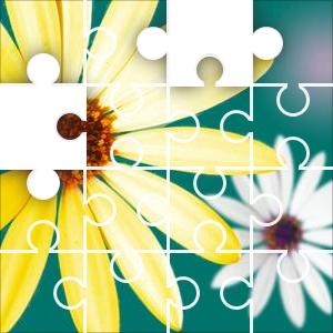 Spring 6 Puzzle casse-tête - JigZone.com
