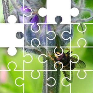 Bug on Lupin Puzzle casse-tête - JigZone.com