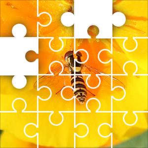 Insect pop Puzzle casse-tête - JigZone.com