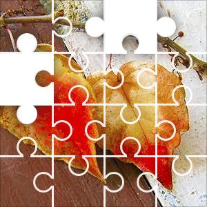 Autumn Leaves Puzzle casse-tête - JigZone.com