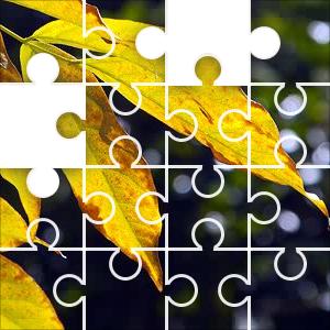 Autumn Leaves Puzzle casse-tête - JigZone.com