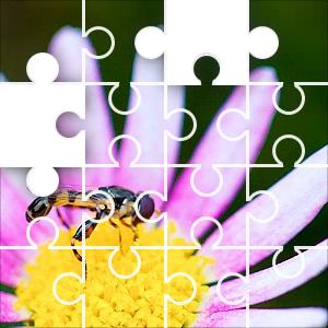 Insect on Daisy Puzzle casse-tête - JigZone.com
