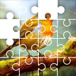 Casse-tête quotidien 2025-10-13 European Robin - JigZone.com