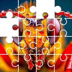 Casse-tête quotidien 2025-09-16 Insect Head Close - JigZone.com