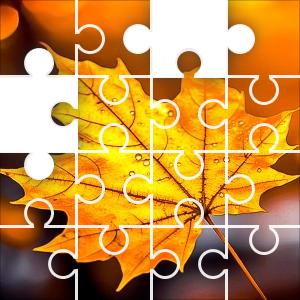 Maple Leaf Autumn Puzzle casse-tête - JigZone.com